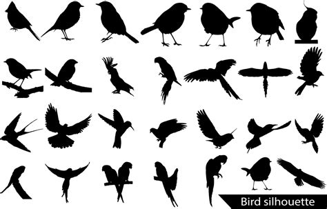 Flock Of Flying Birds Vector Vector Silhouette Flying Birds On White