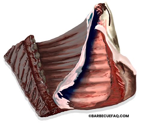 Inside Vs Outside Skirt Steak What Is The Difference Between These
