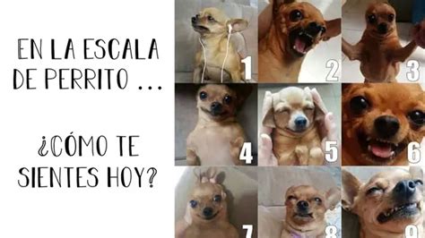 En la escala de Cómo te sientes hoy profe social