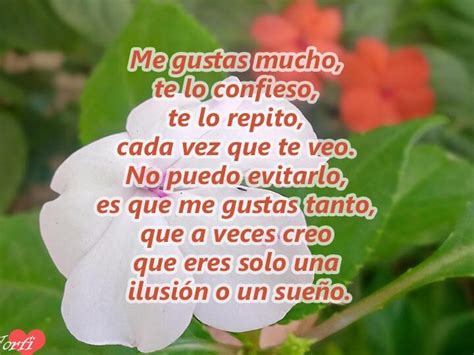 Poema Para Decirle Que Me Gusta