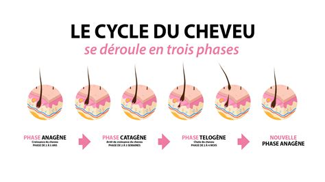 Greffe de cheveux découvrez lévolution mois par mois