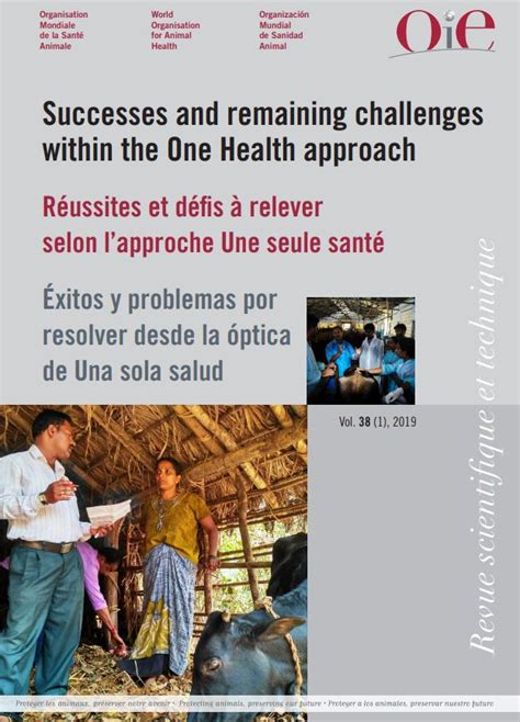 Éxitos y problemas por resolver desde la óptica de Una sola