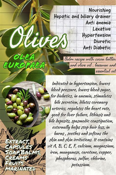 Olives Benefits Notebook Pages Photograph By Ana Naturist Pixels