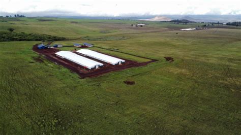 Aviagen East Africa Celebrates Grand Opening Of New Grand Parent Farms