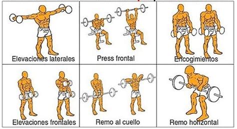 Los Mejores Ejercicios Para Los Hombros Runningvillarejo Es