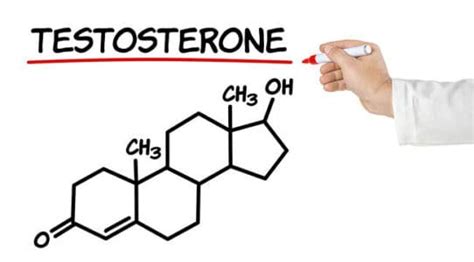 Aumentar La Testosterona Claves Fundamentales