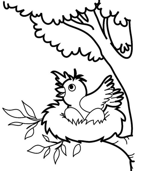Desenhos De Ninho Para Imprimir E Colorir Pintar