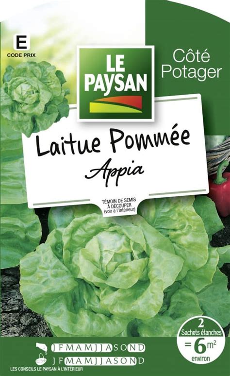 LAITUE POMMÉE APPIA Le Paysan Semences et accessoires pour