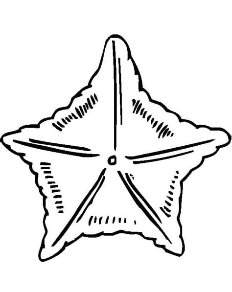 Coloriage Dessin de Étoile de Mer télécharger et imprimer gratuit sur