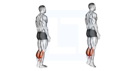 Bodyweight Standing Calf Raise Guide Benefits And Form