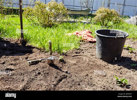 Preparación del suelo para la siembra en primavera Cultivo Frutas y