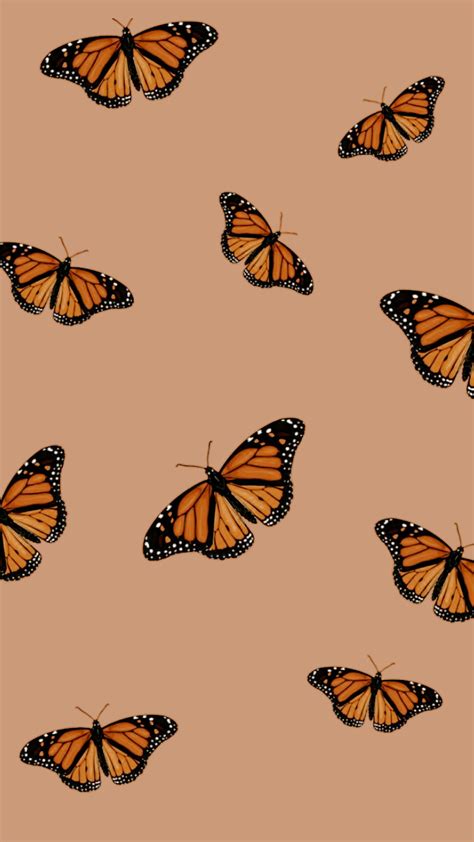 Cute Aesthetic Butterfly Wallpapers Wallpaper Cave