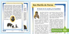 Lectura El Sue O De San Martin Materiales Twinkl Per