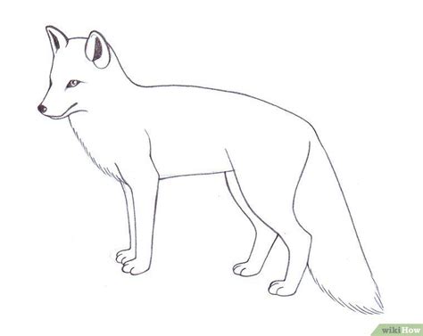 3 Ways To Draw A Fox Fox Sketch Fox Drawing Cats Art Drawing