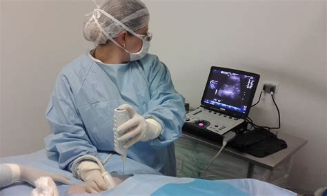 Biópsia hepática percutânea guiada por ultrassom um método pouco