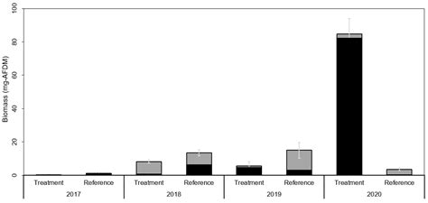 Bar Chart Placing Error Bars Into The Foreground Of Barplots Excel