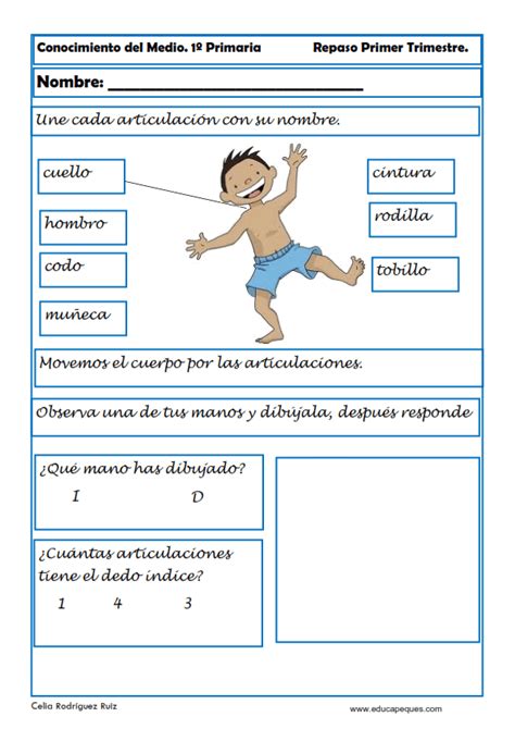 Conocimiento Del Medio Primero Primaria 03 Spagnolo