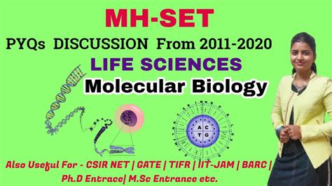 MH SET PREVIOUS YEAR QUESTIONS L MOLECULAR BIOLOGY MUTATION REPAIR