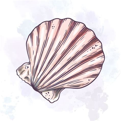 Arte Da Ilustra O Em Vetor Concha Do Mar Dos Desenhos Animados De The