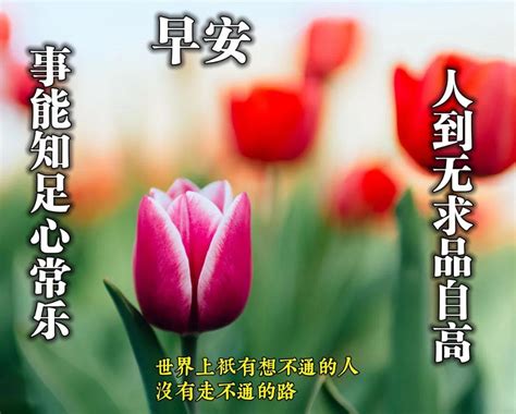 星期三上午好问候图片 星期三早上问好图片 配图网