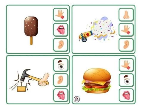 Pin By Annalisa Dajello On Scienze Preschool Learning Activities Kindergarten Learning
