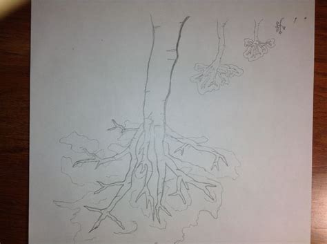 How To Draw A Detailed Tree 7 Steps With Pictures WikiHow