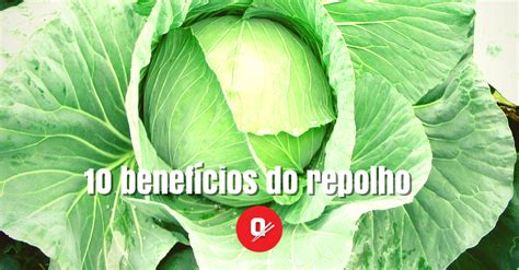 10 benefícios do repolho para a sua saúde Blog da Loja Ohashi