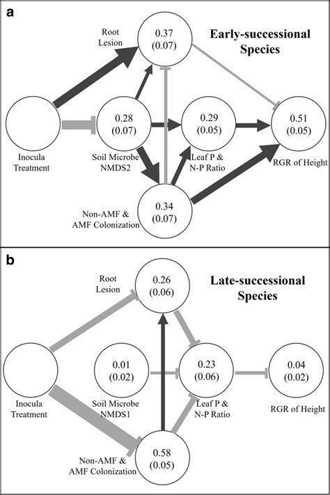 predicted pls path model for the direct and indirect correlations download scientific diagram