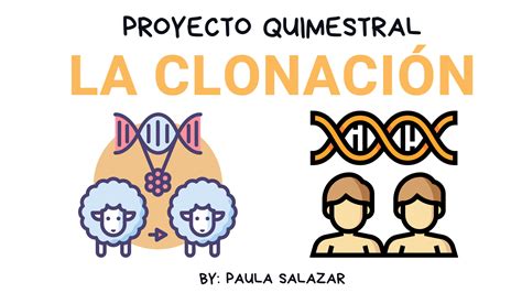 3ERO A SALAZAR PAULA PROYECTO QUIMESTRAL BIOLOGÍA SUPERIOR by PAULA