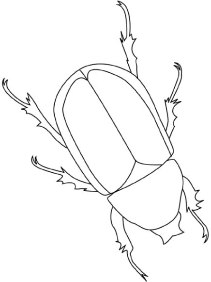 Ausmalbild Käfer kostenlos 1 Malvorlagen zum Drucken