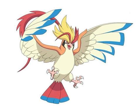MEGA PIDGEOT Pokémon GO Amino