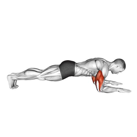 Sphinx Push Up Benefits Muscles Worked And More Inspire US