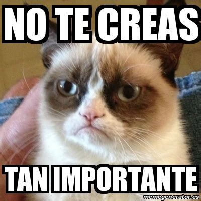 Meme Grumpy Cat No Te Creas Tan Importante 21131878