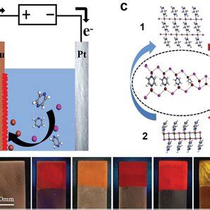 Schematic Diagram For Electrochemical Deposition Of Hybrid