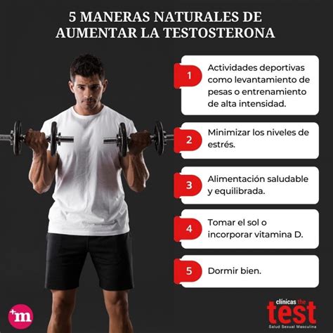 Maneras Naturales De Aumentar La Testosterona Blog Mqm
