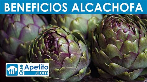 8 Propiedades Y Beneficios De La Alcachofa QueApetito YouTube