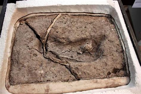 Discovery Of 16 000 Year Old Footprint That Could Change The History Of