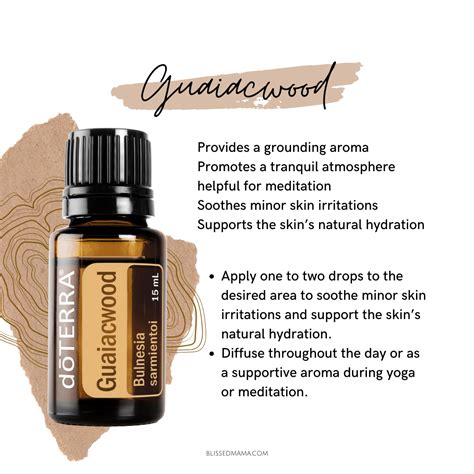 Guaiacwood Essential Oil Benefits Uses Sourcing With