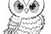 Hoot Hoot 24 Owl Coloring Pages For Everyone Free And Printable