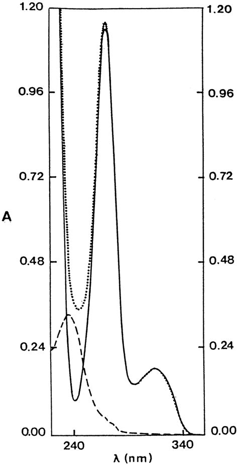 Absorption Zero Order UV Spectra Of Benazepril Hydrochloride 20 0 Mg