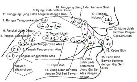 Sifat Dan Makhraj Huruf Hijaiyah Ayo Mengaji