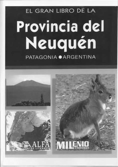 PDF El Gran Libro de la Provincia del Neuquén