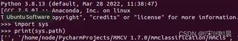 Linux Mmcv Mmclassification Torch Mmcv Csdn