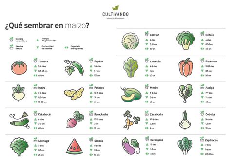 Qué sembrar en marzo en España mejores opciones para cultivar en