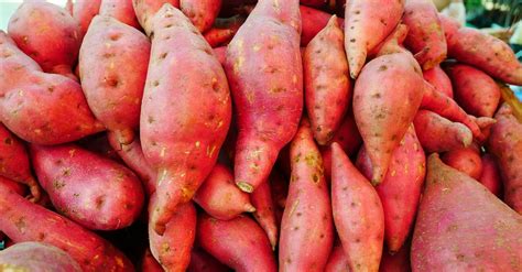 Daftar Kandungan Nutrisi Ubi Jalar Dan Manfaat Bagi Tubuh