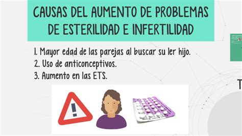 Causas Del Aumento De Problemas De Esterilidad E Infertilida By Andrea