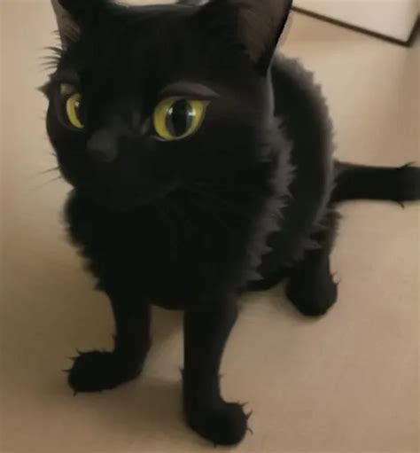 A Black Cat With Big Eyes OpenArt