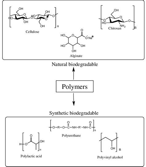 Classification Of Some Natural And Synthetic Biodegradable Polymers