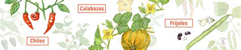 Variación genética Biodiversidad Mexicana
