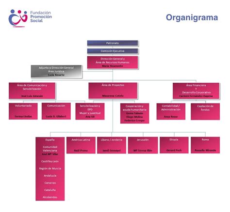 Organigrama Fundaci N Promoci N Social